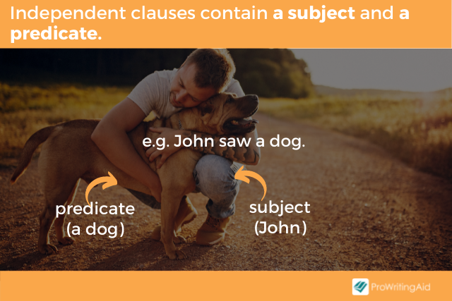 Simple Sentence Definition Meaning with Examples 