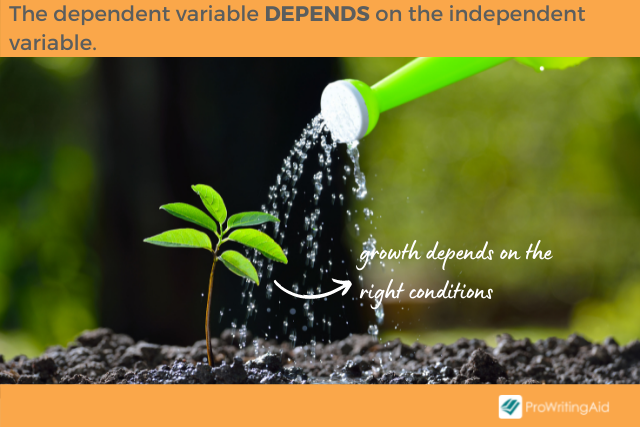 Dependent Variable Definition And Examples