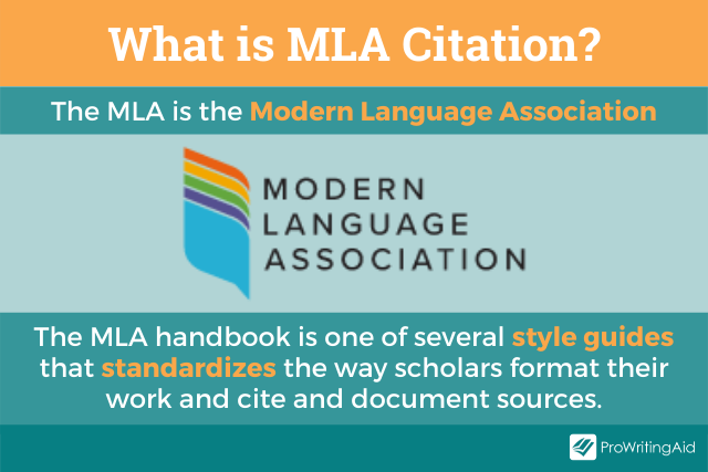 MLA Quotes Everything You Need To Know 2023 